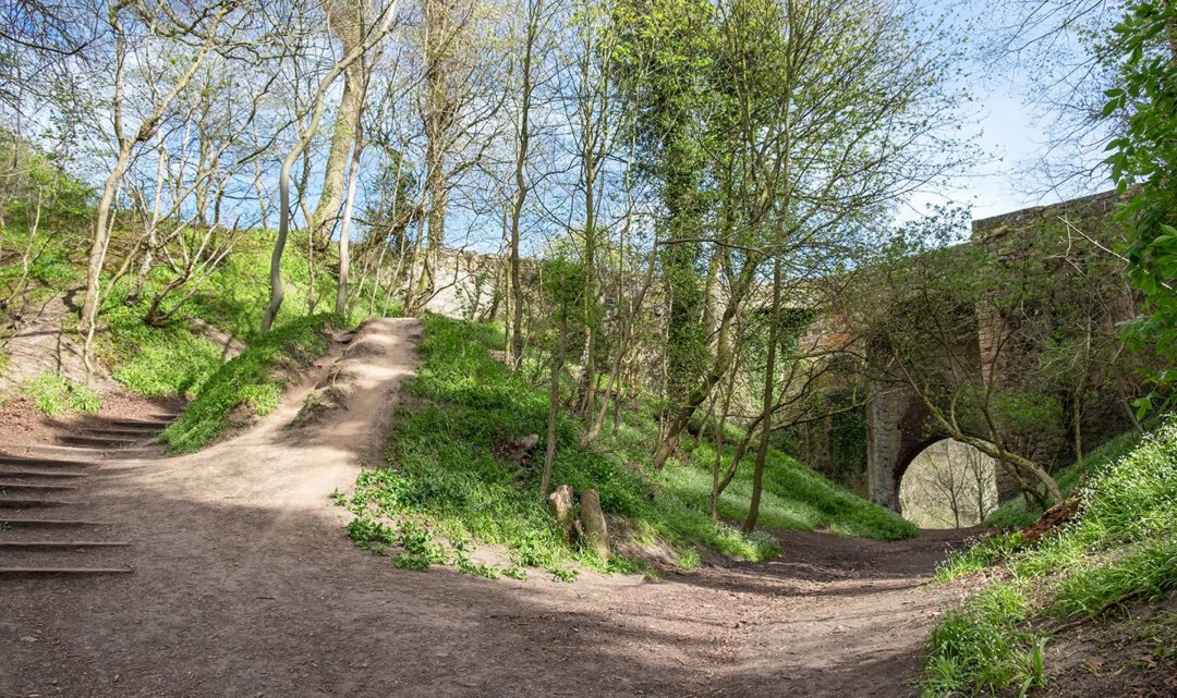 A legendary day trip to Rosslyn Chapel from Edinburgh