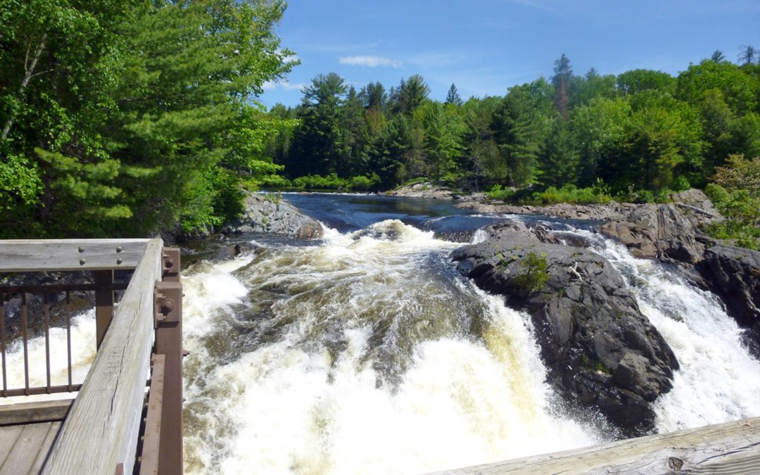 16 of the best Ontario Provincial Parks to escape to