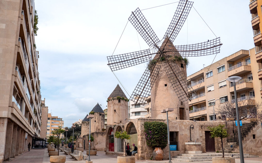 Palaces and palm trees: The best things to do in Palma, Mallorca